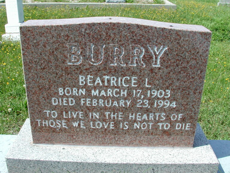 Salvation Army Cemetery, Photographs of Memorials - Greenspond ...